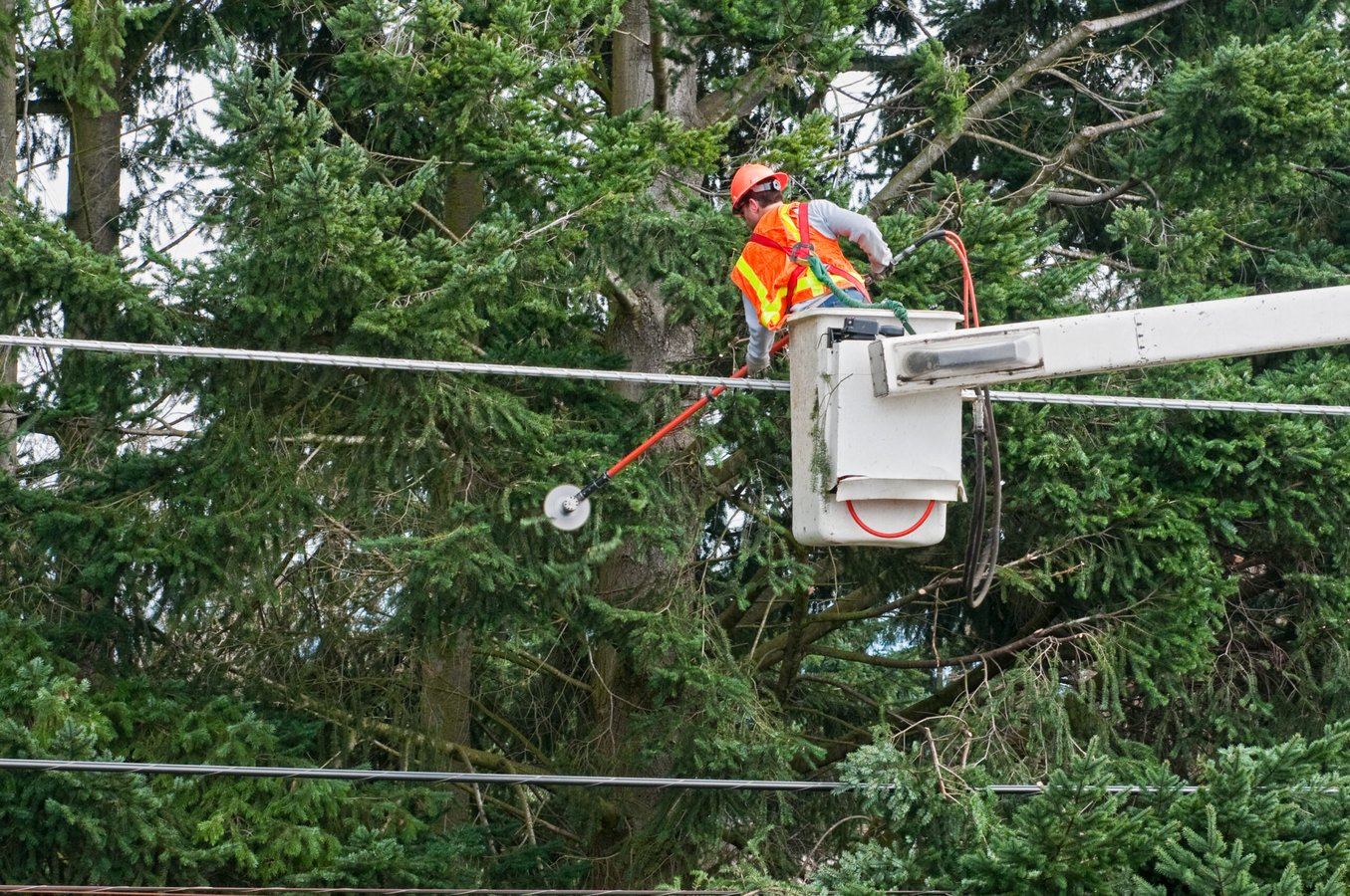 The Evolution of Digital Utilities: Past, Present, Future